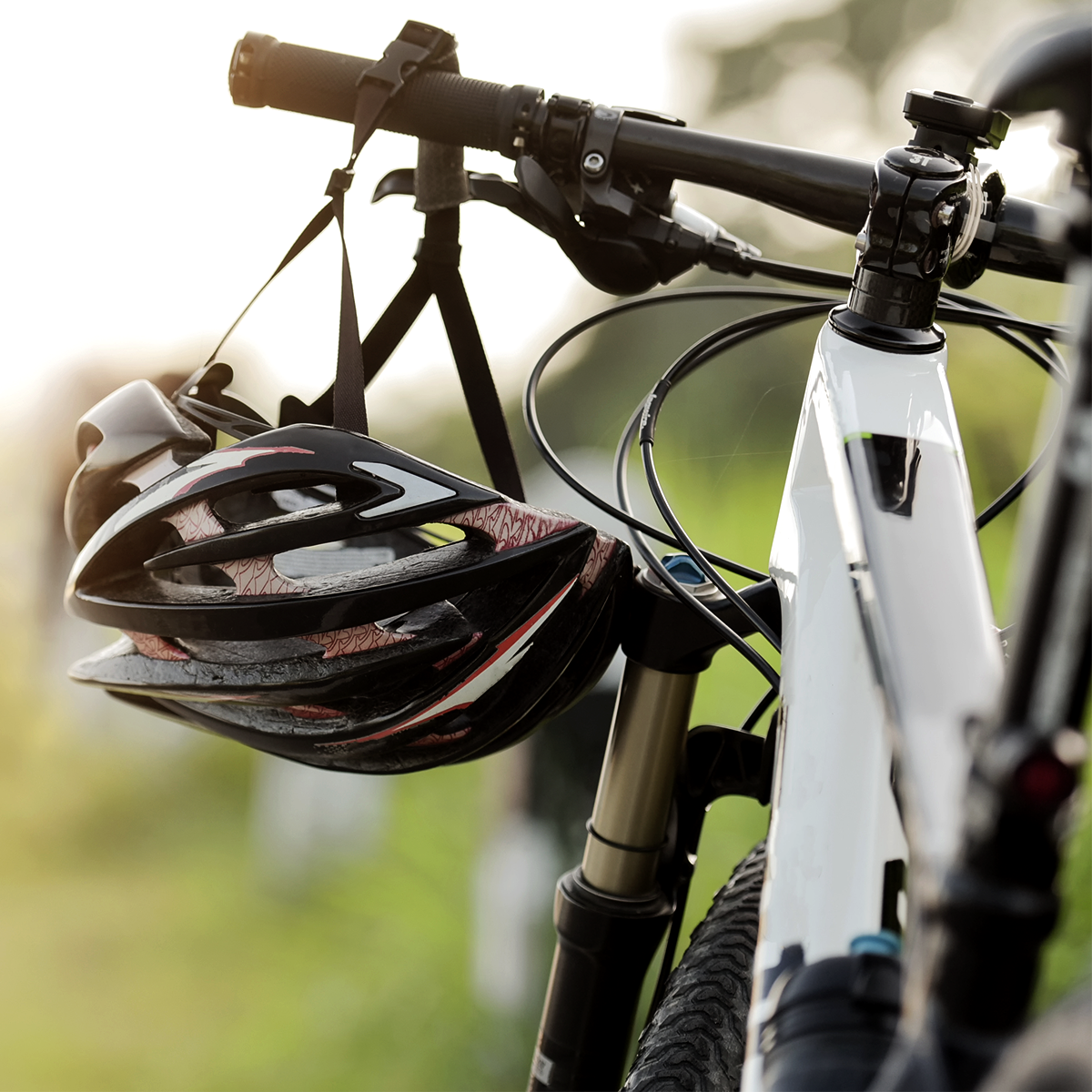 Donate a Bike and Helmet – Mutt Society